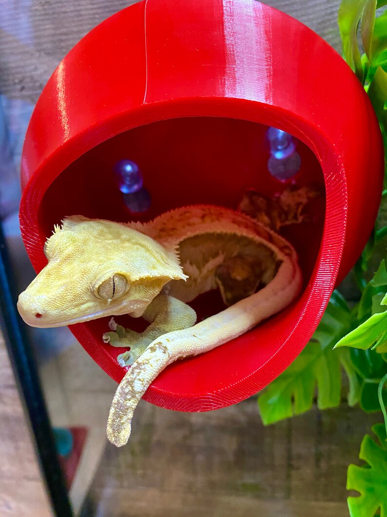 The Hideaway large Gecko Reptile Hide 3D Printed - Etsy