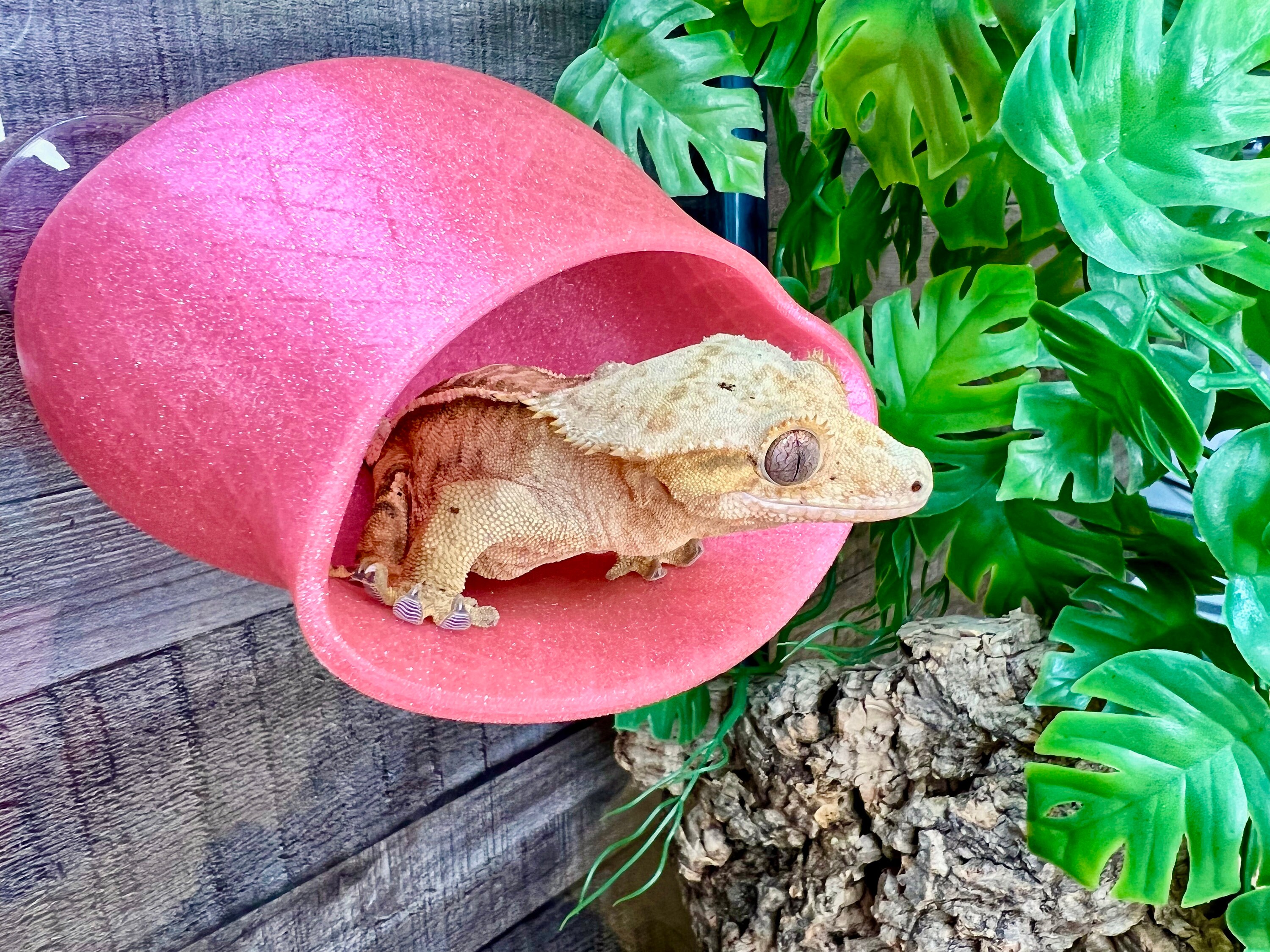Hidey-hole medium Gecko Reptile Hide 3D Printed Laguna - Etsy