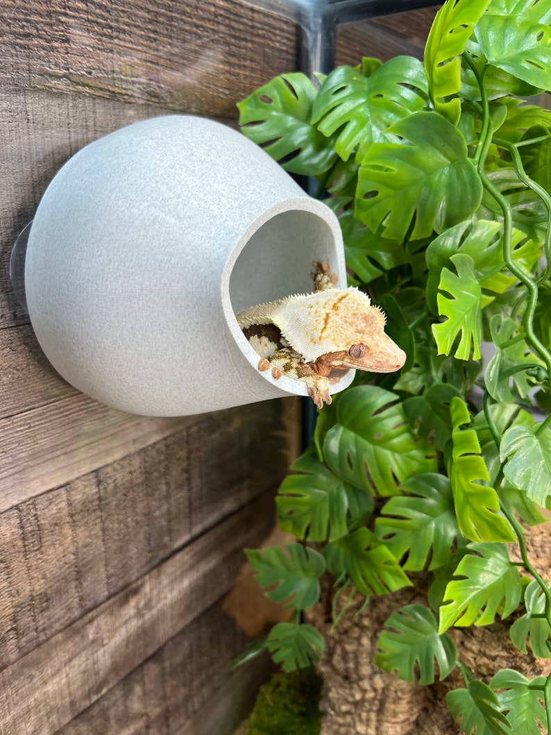The Hideaway large Gecko Reptile Hide 3D Printed - Etsy