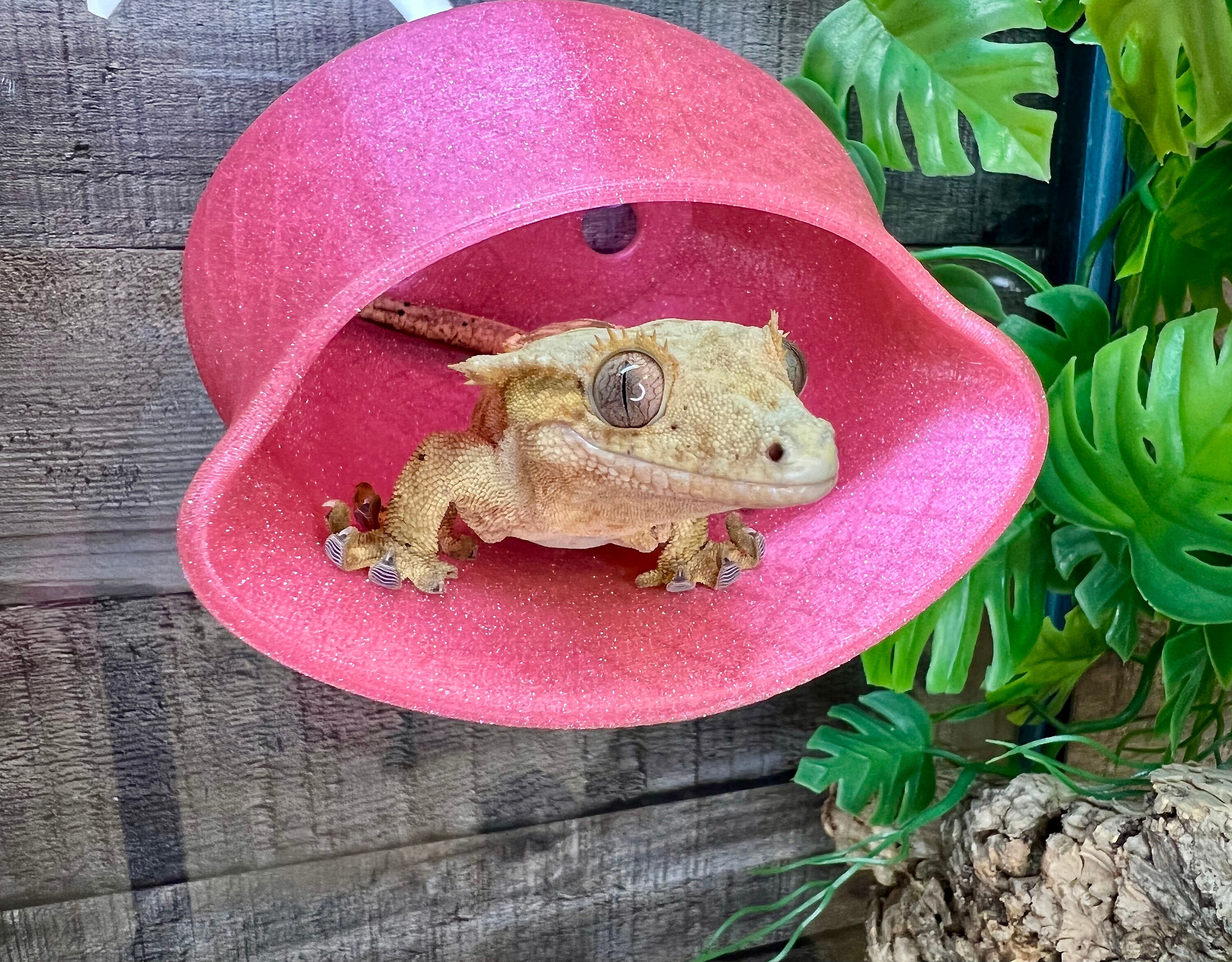 Hidey-hole medium Gecko Reptile Hide 3D Printed Laguna - Etsy