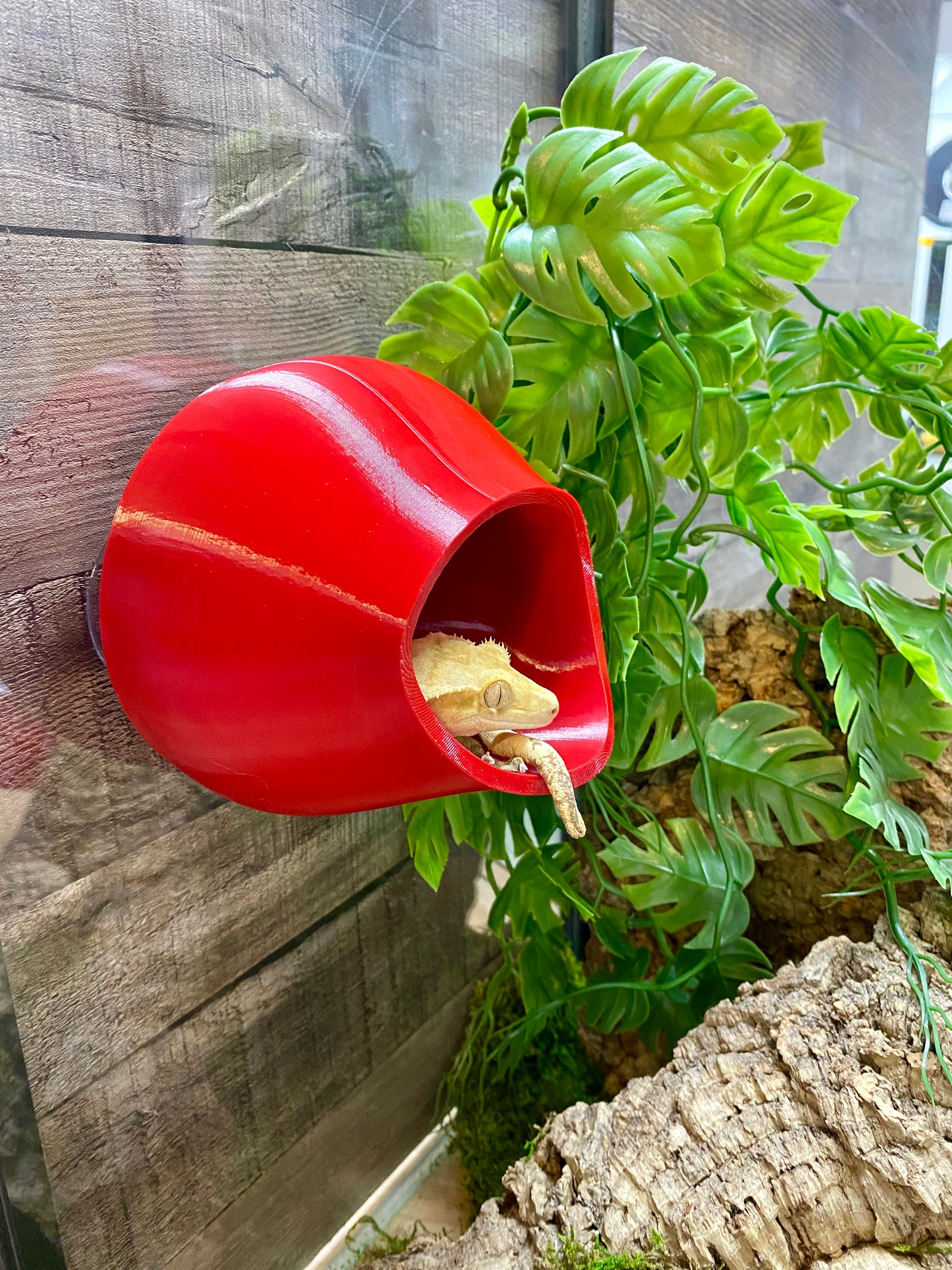 The Hideaway large Gecko Reptile Hide 3D Printed - Etsy