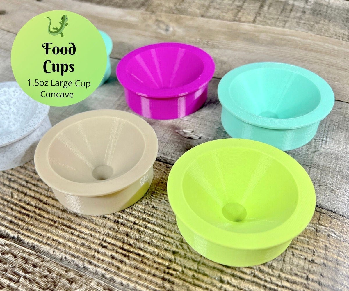 1.5oz Large Cup concave Sold as Singles Washable Gecko - Etsy