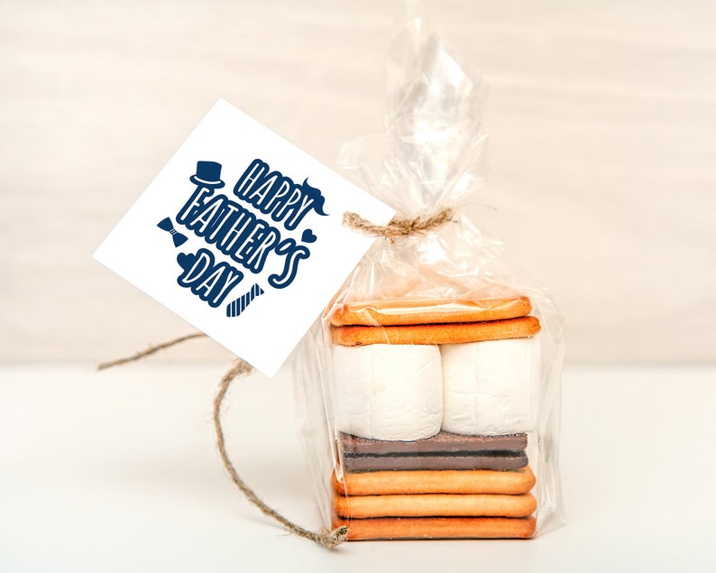 Printable Father's Day Gift Tags, Happy Fathers Day Cookie Tags, Dad's ...