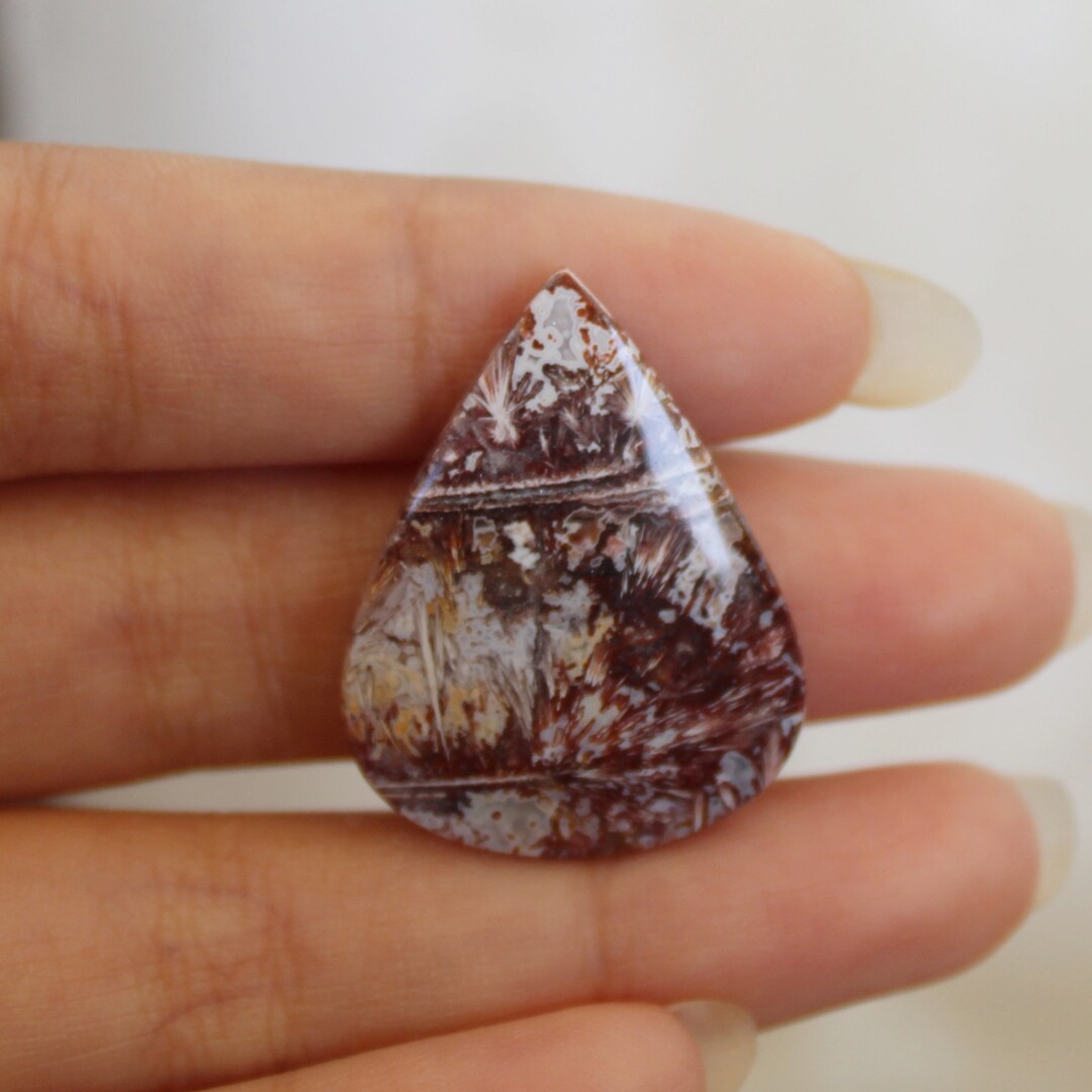 Opalized Petrified Palm Root Agate Cabochon - Etsy