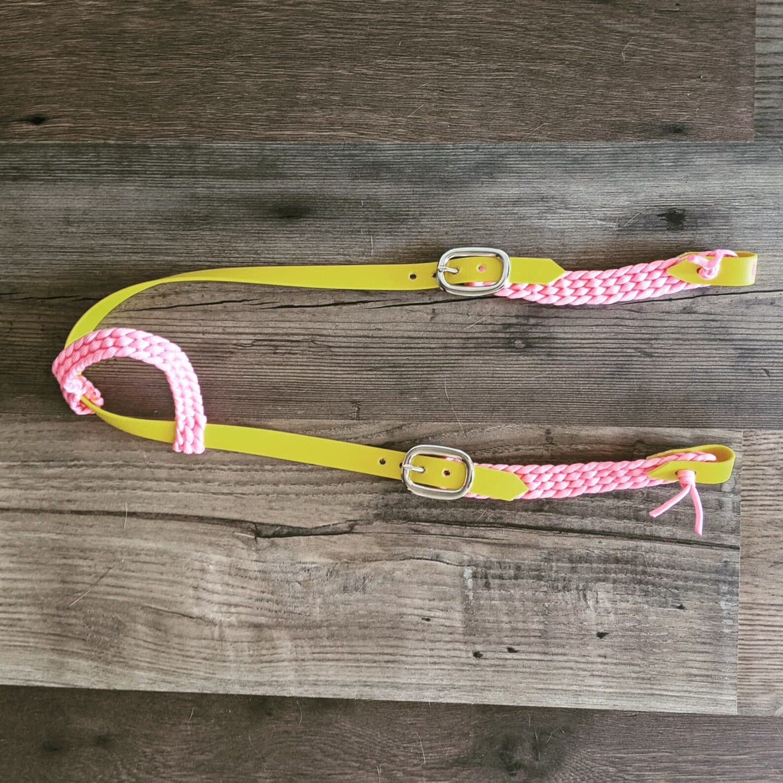 Custom Biothane and Paracord Headstall - Etsy