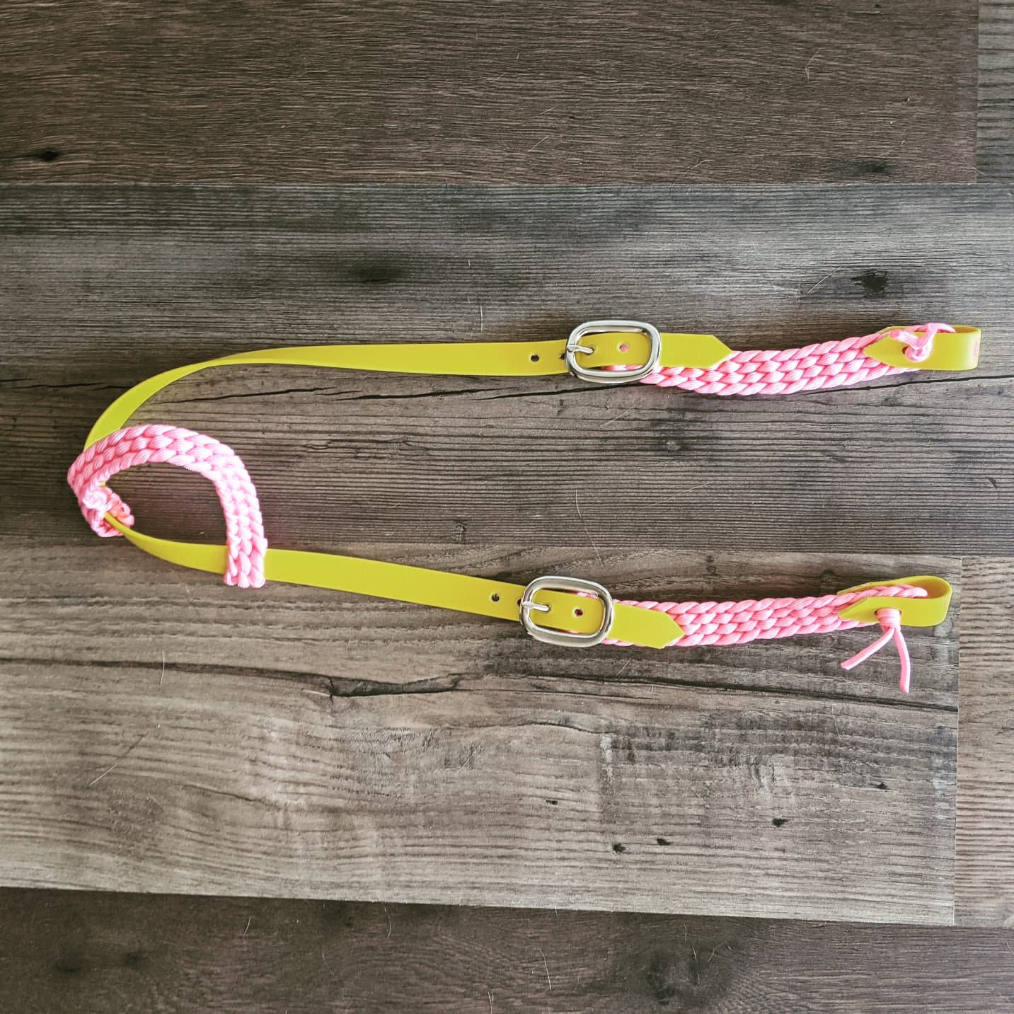 Custom Biothane and Paracord Headstall - Etsy