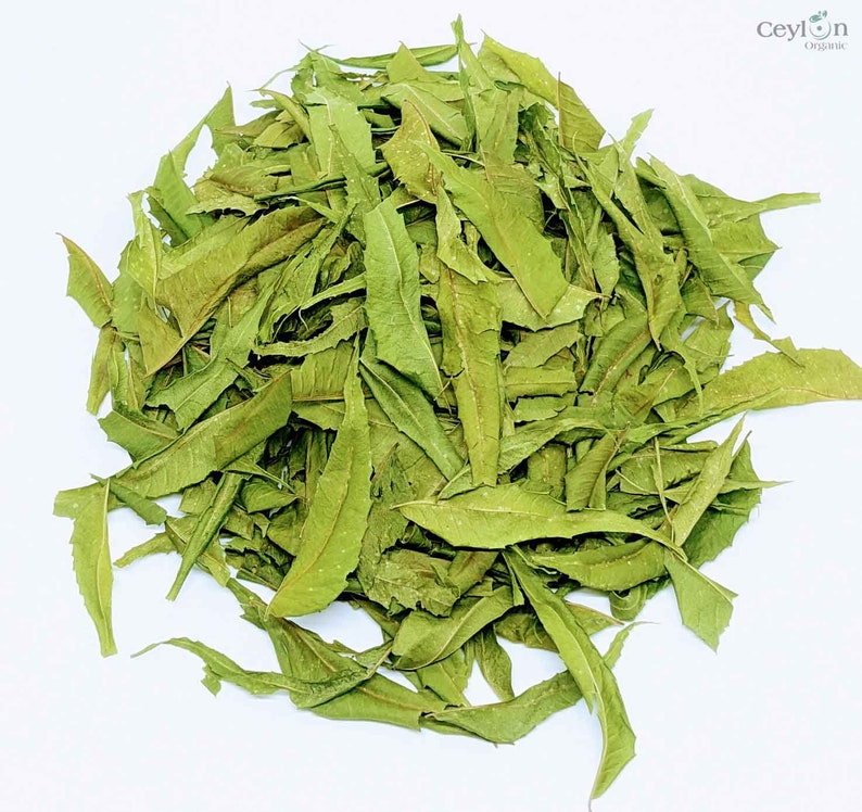 1kg+ Neem Leaves,dried Neem Leaves 100% Organic - Etsy