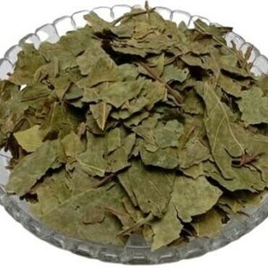 300 Bel Leavesbael Leaves Dried Bael Leaves Half Sun-dried - Etsy