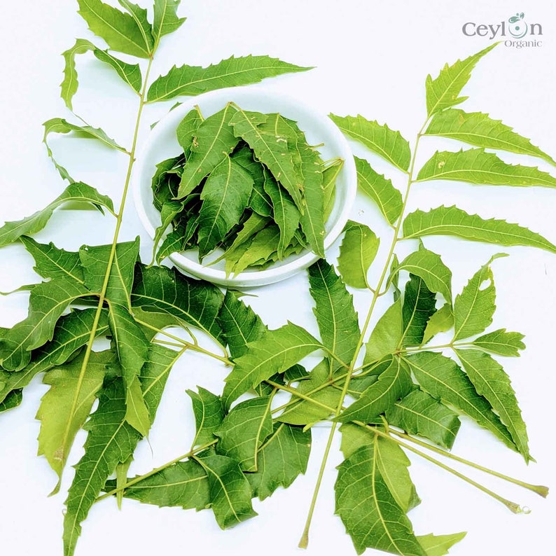 1kg Neem Leaves,dried Neem Leaves 100% Organic - Etsy