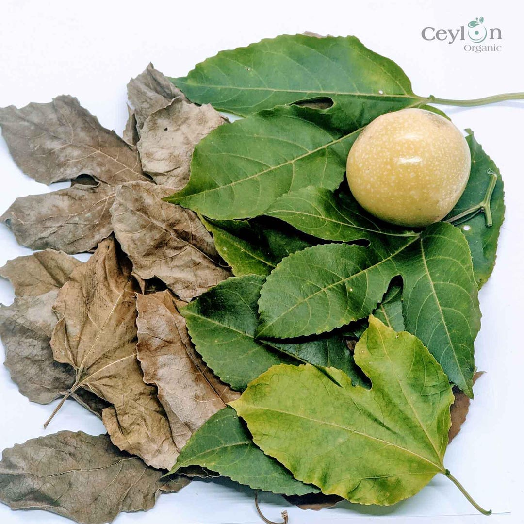 200+ Dried Passion Fruit Leaves | Natural Leaves for Teas, Potpourri ...