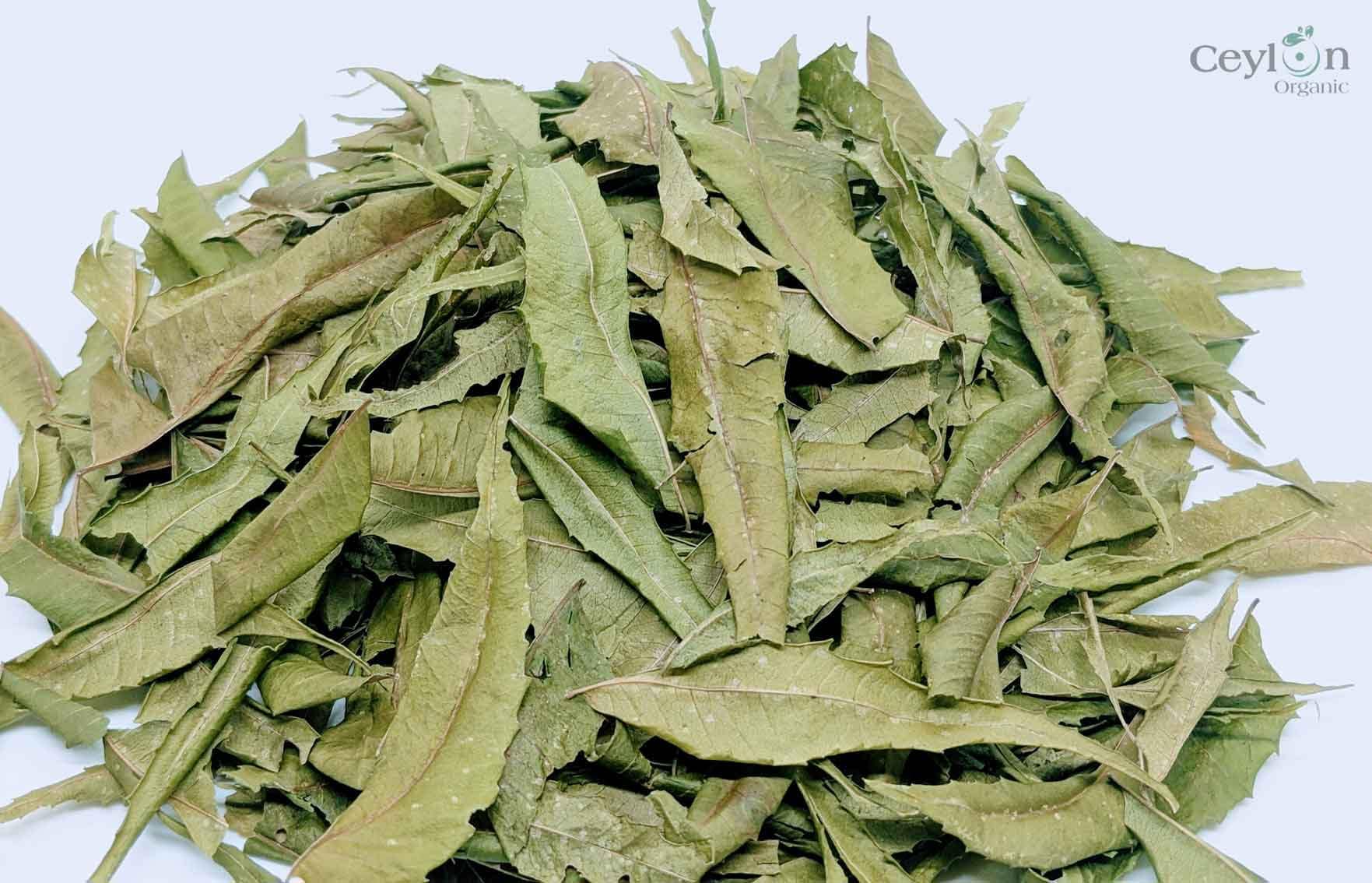1kg+ Neem Leaves,dried Neem Leaves 100% Organic - Etsy