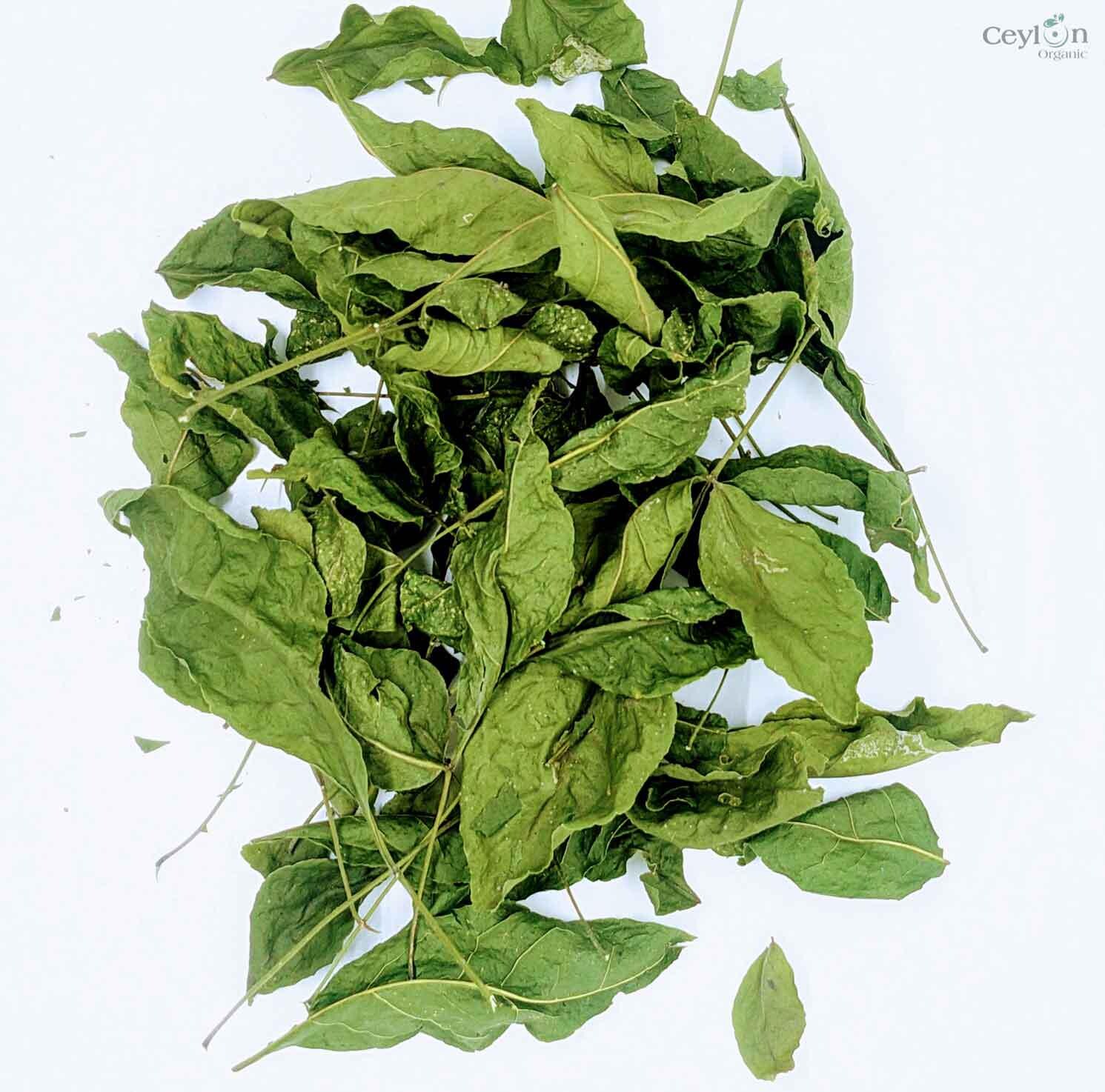 300+ Bel Leaves,bael Leaves, Dried Bael Leaves, Half Sun-dried Bael ...