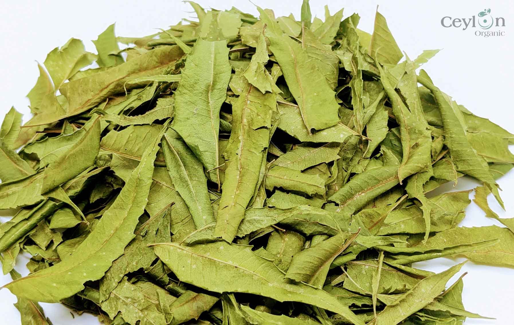 1kg+ Neem Leaves,dried Neem Leaves 100% Organic - Etsy