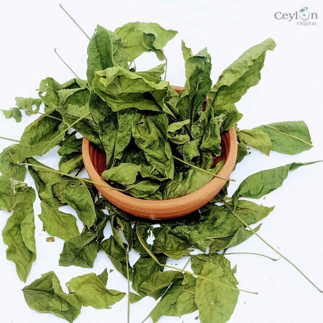 500+ Bael Leaves, Dried Bel Leaves, Dried Bael Leaves, Bilva Leaves ...