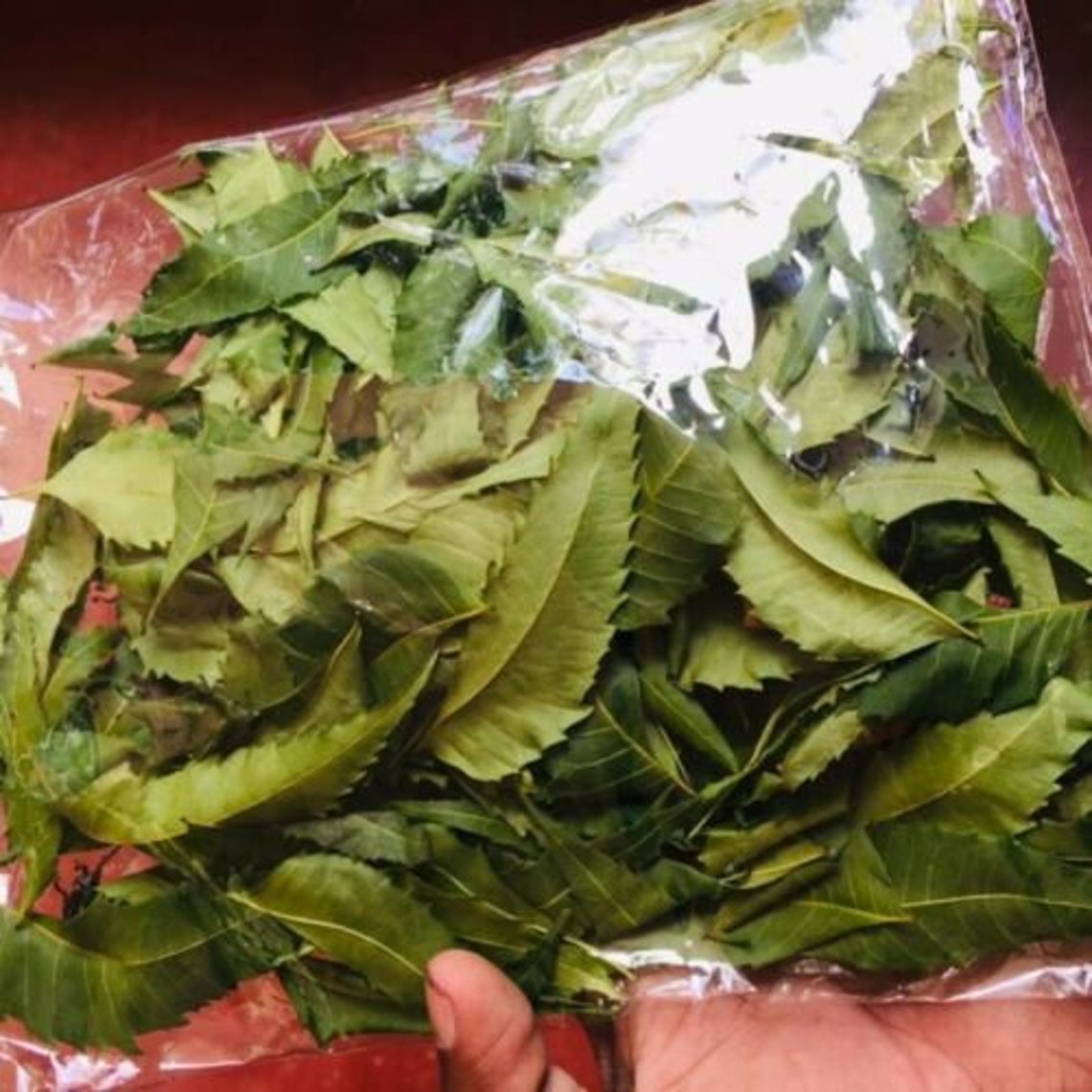 1kg Neem Leaves,dried Neem Leaves 100% Organic - Etsy