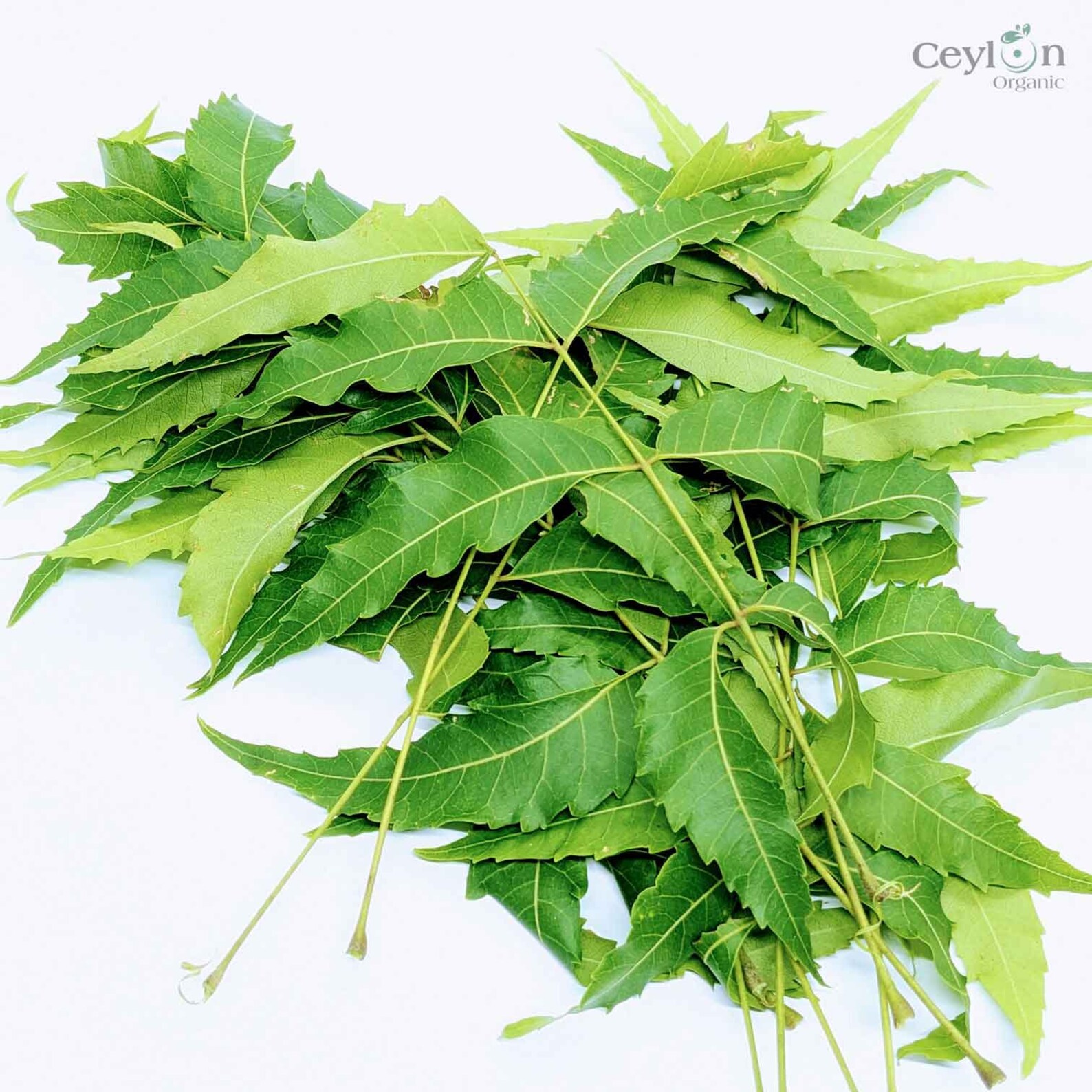 1kg+ Neem Leaves,dried Neem Leaves 100% Organic - Etsy
