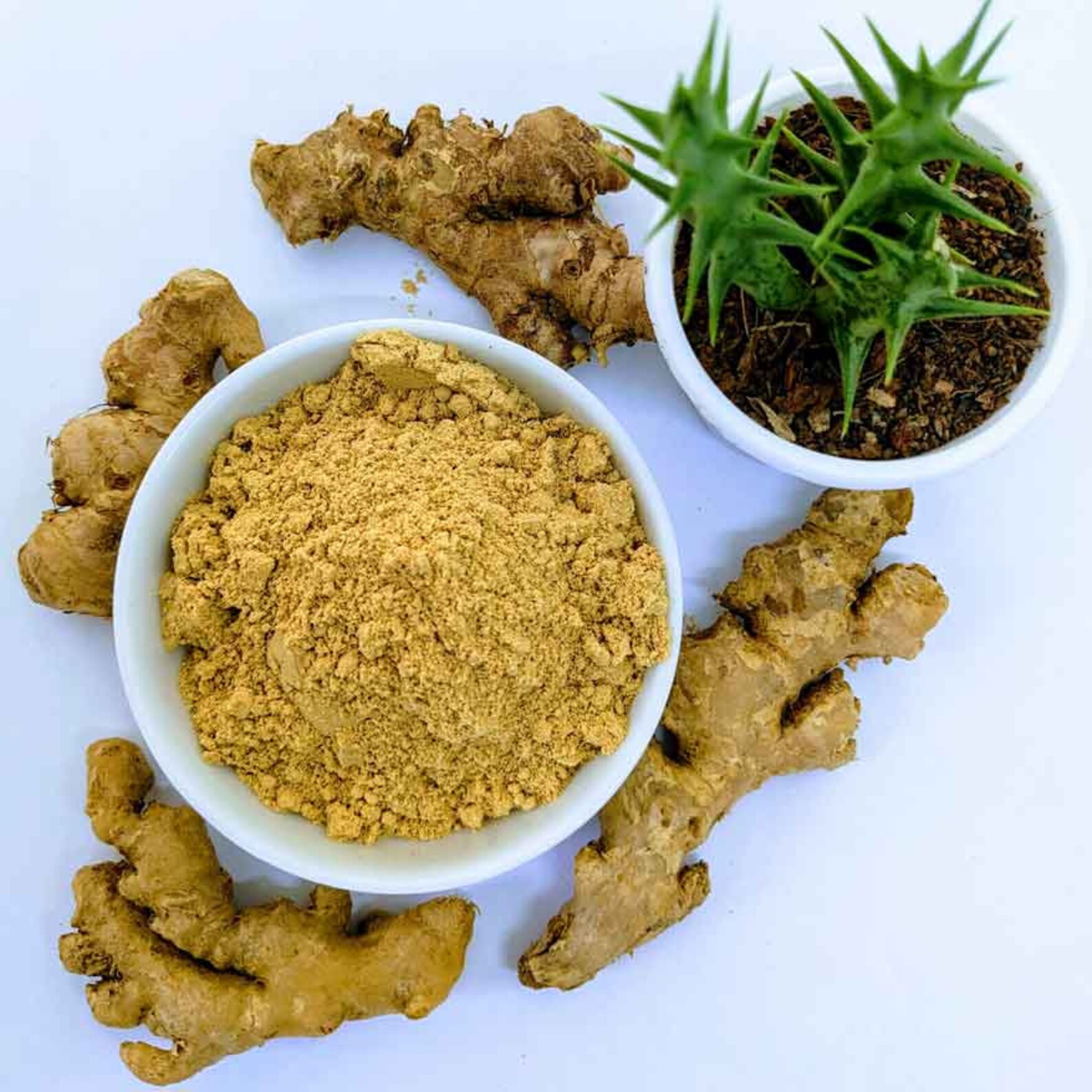 Pure Ginger Powder - Premium, Fresh & Aromatic | Ceylon Organic - Etsy