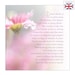 Sympathy Card for Female | Sympathy Card for Daughter | Sympathy Card ...
