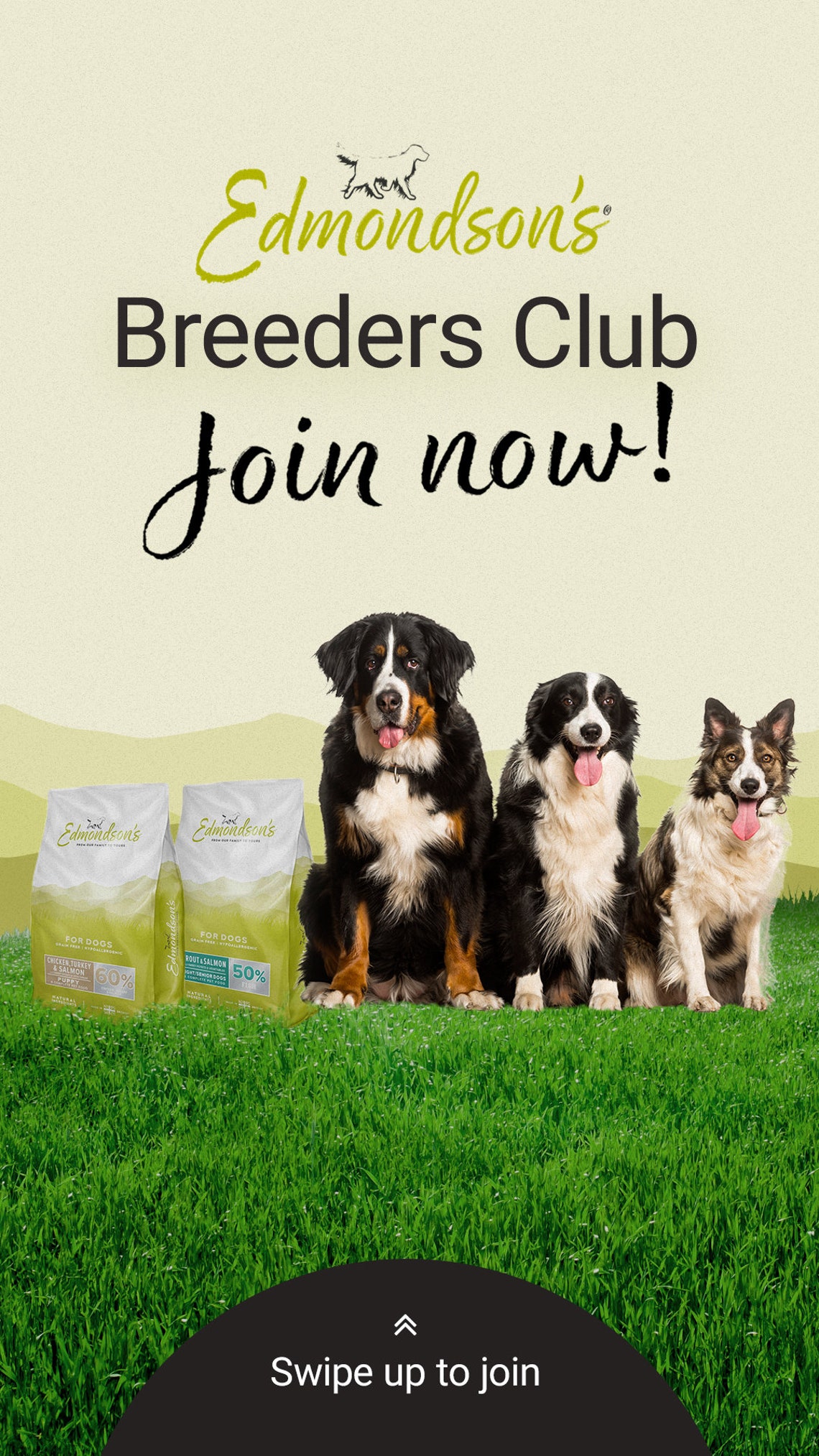 Custom Instagram Feed & Story Banners Social Media Banners | Etsy