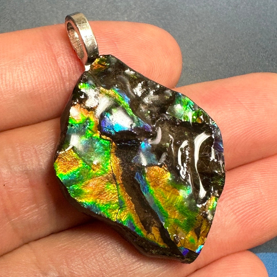 Canadian Ammonite Freeform Gemstone Pendant 33X25 Mm #3003-1 - Etsy