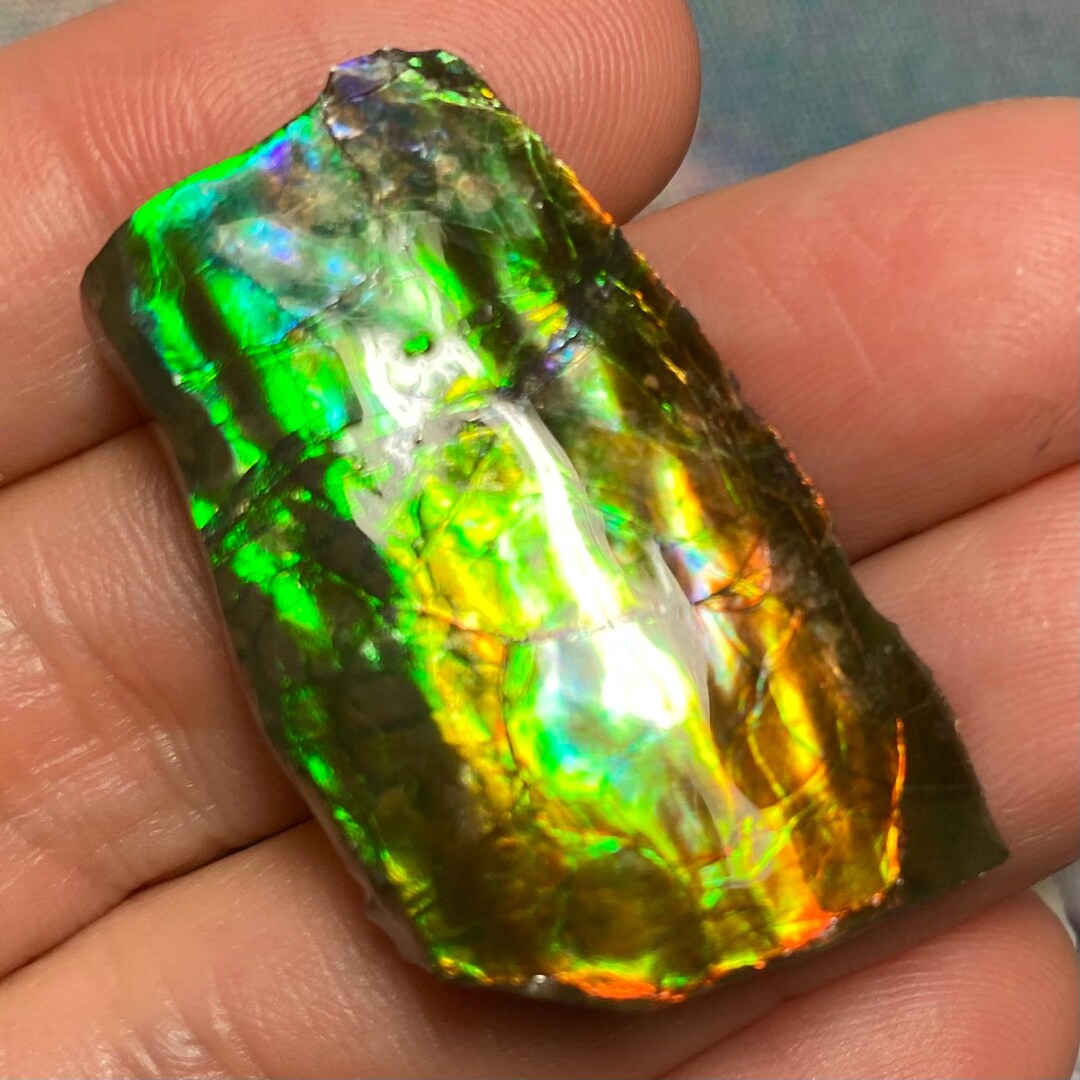 Authentic Gemstone Canadian Ammolite Fossil – Positive Energy ...