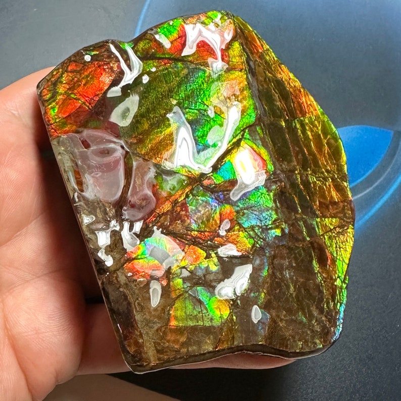 Canadian Natural Ammolite Ammonite Gemstone 95X75X35 Mm 322 Grams #3007 ...