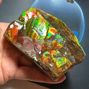 Canadian Natural Ammolite Ammonite Gemstone 95X75X35 Mm 322 Grams #3007 ...