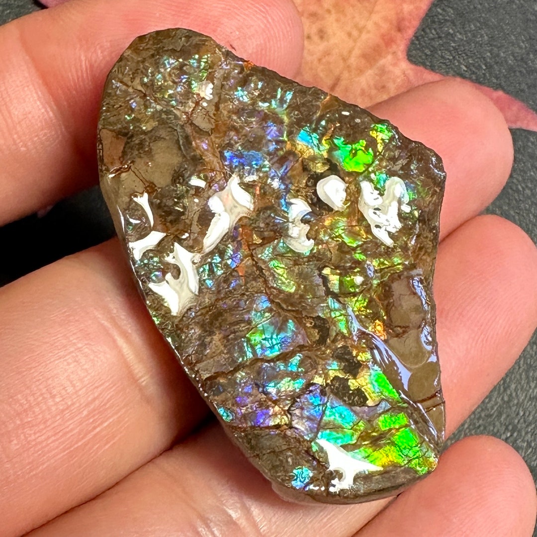 Authentic Blue Natural Canadian Ammonite Fossil Ammolite Gemstone ...