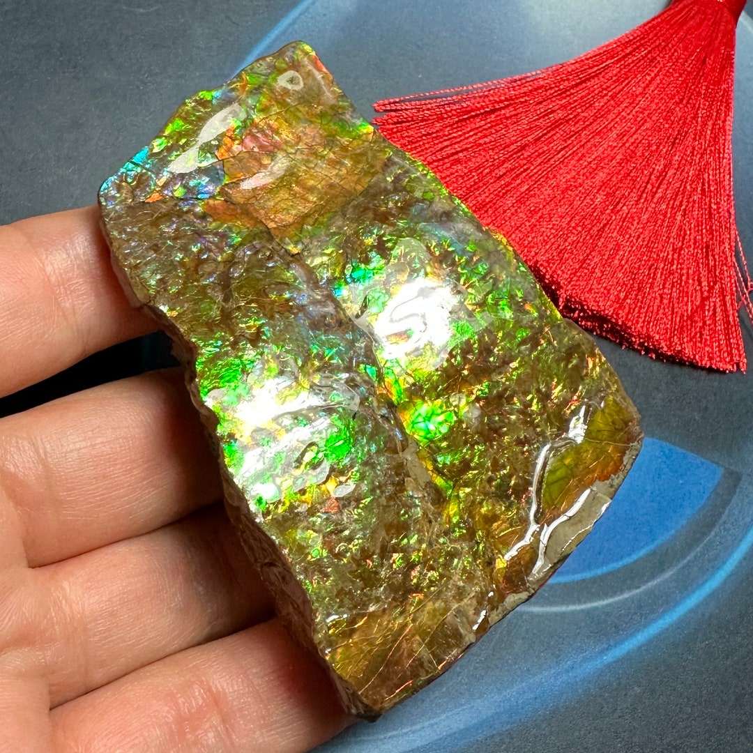 Natural Canadian Ammonite Ammolite Specimen Double Side 75X51X26 Mm 104 ...