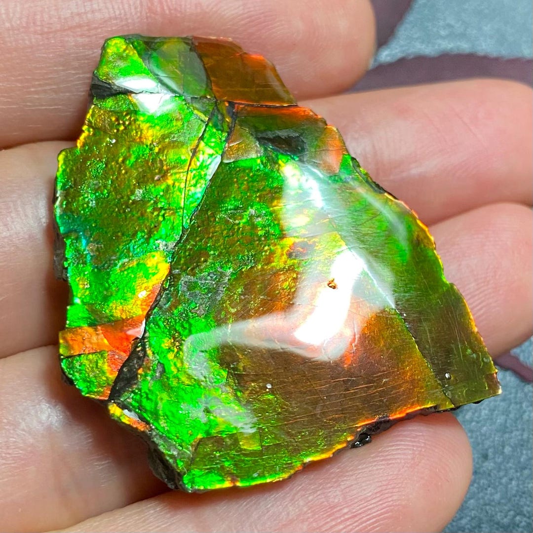 Canadian Ammonite Ammolite Freeform Specimen 58X37X11 Mm 42 Grams #2555 ...
