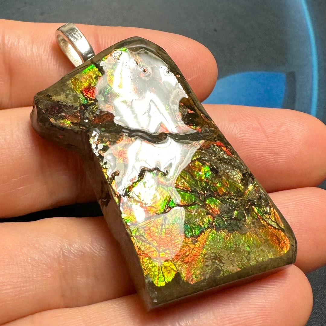 Canadian Ammonite Freeform Gemstone Pendant 46X25 Mm #3003-12 - Etsy