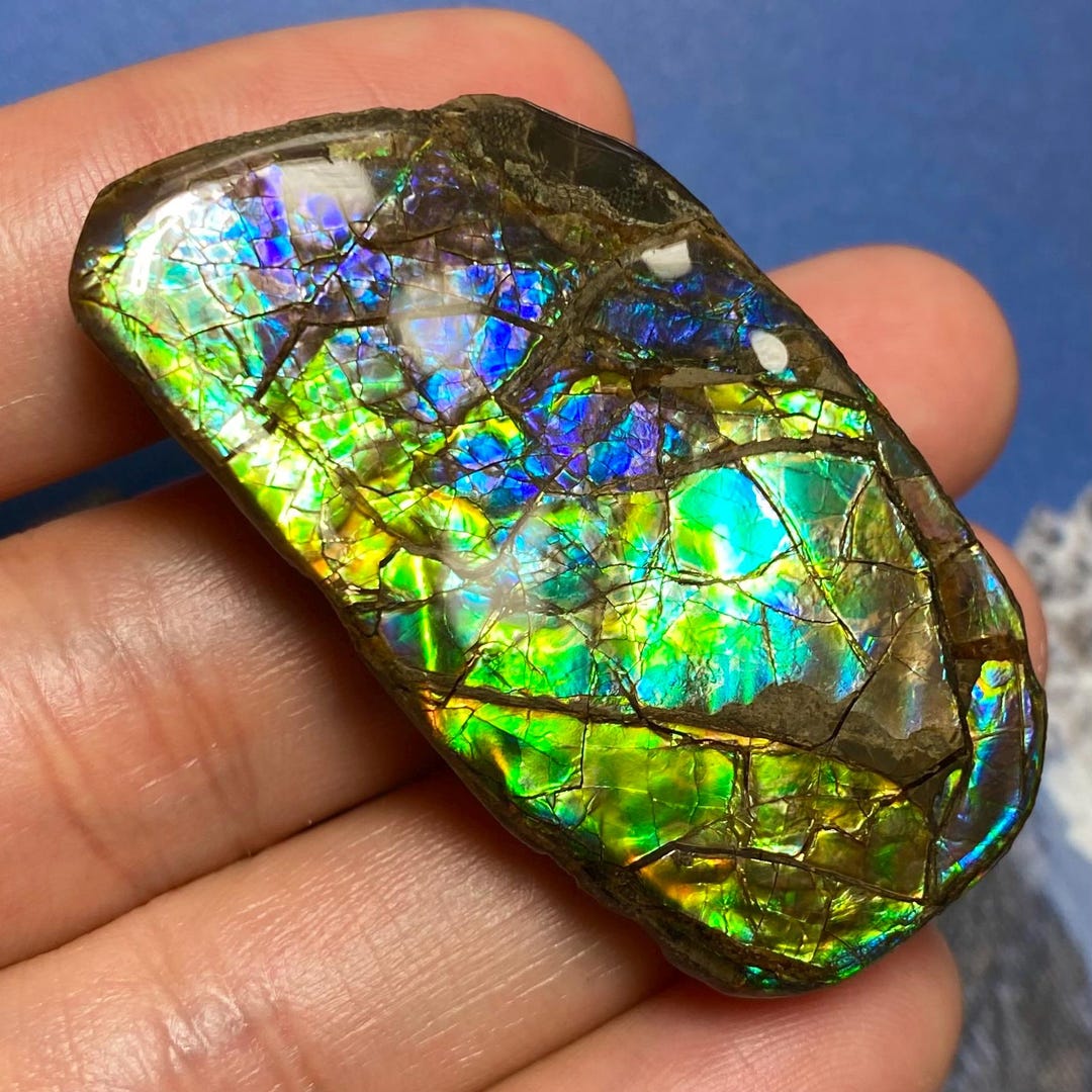 Authentic Gemstone Canadian Ammolite Fossil – Positive Energy ...