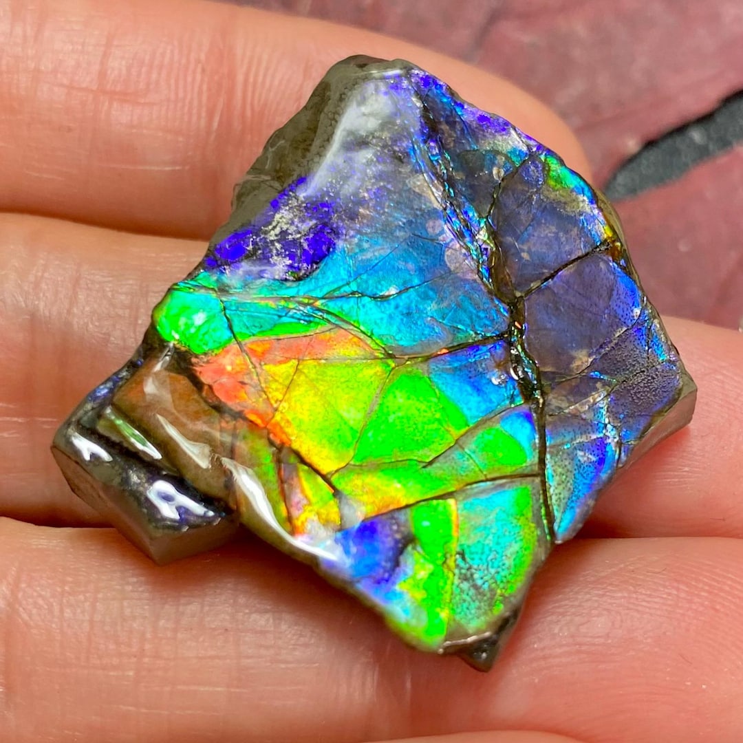 Natural Canadian Ammolite Rough Gemstone Blue Green Flash Fossil ...