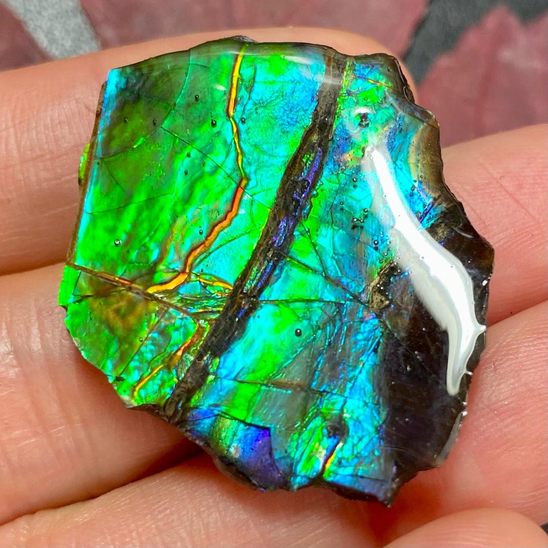 Natural Canadian Ammolite Fossil Gemstone | Blue Green Flash Ammolite ...