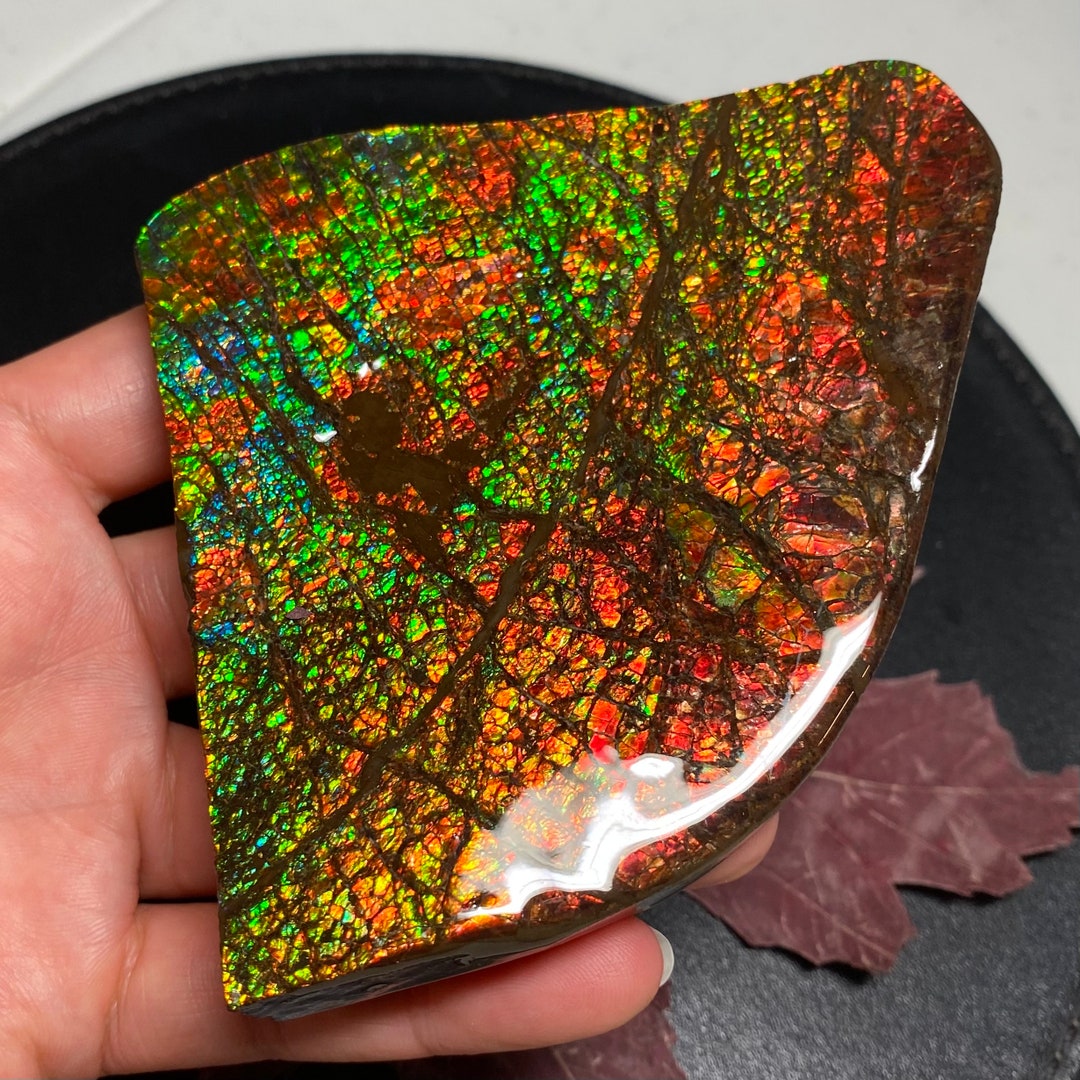 Natural Canadian Ammonite Ammolite Specimen 94X92X22 Mm 261 Grams #2835 ...