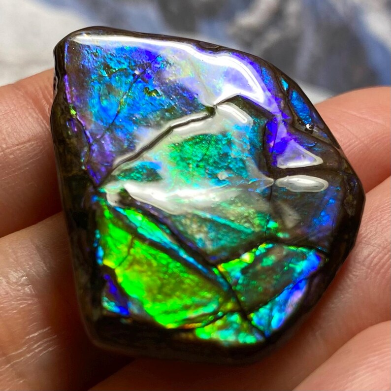 Canadian Authentic Ammolite Gemstone 36X27X11 MM 15 Grams #3027-29 - Etsy
