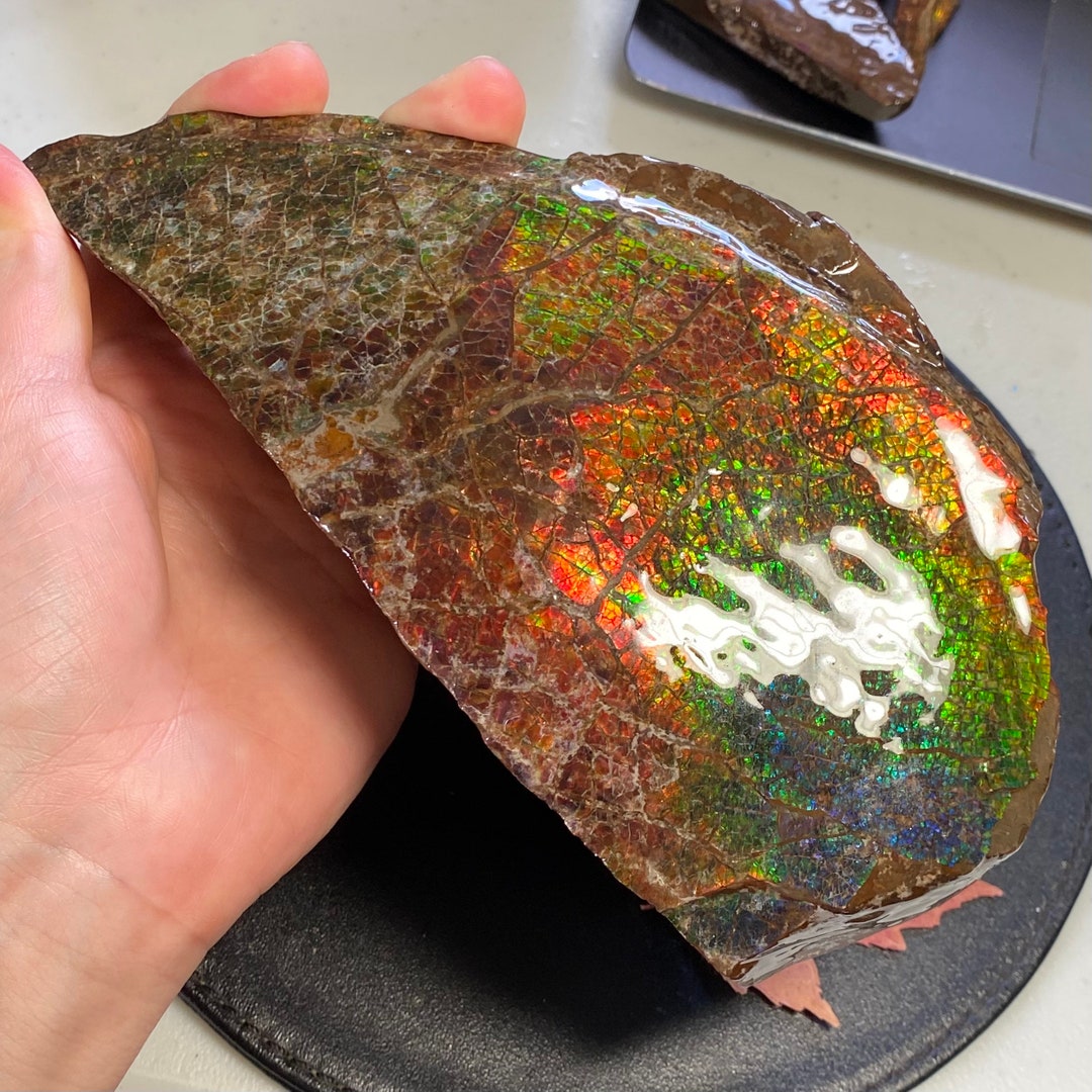 Natural Canadian Ammonite Ammolite Specimen Double Side 195X99X95 Mm ...