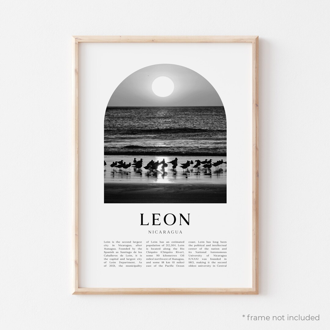 Leon Art Print, Leon Poster, Leon Photo, Leon Wall Art, Leon Black and ...