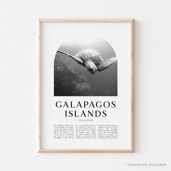 Galapagos Islands Art Print Galapagos Islands Poster | Etsy