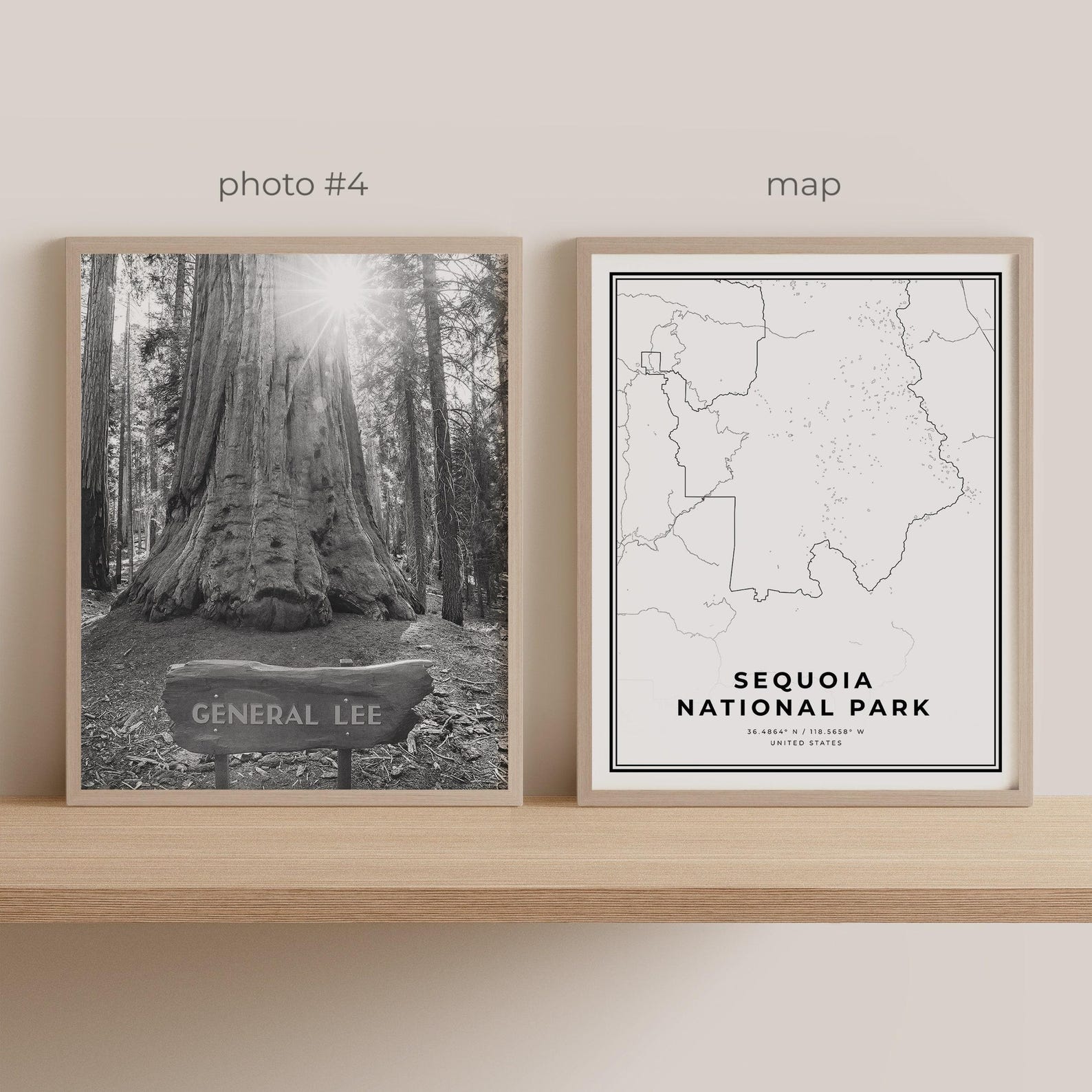Sequoia National Park Gallery Wall Art - Set of 6, Sequoia Photo ...