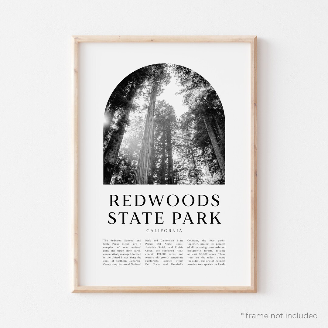 Redwoods State Park Art Print, Redwoods State Park Poster, Redwoods ...