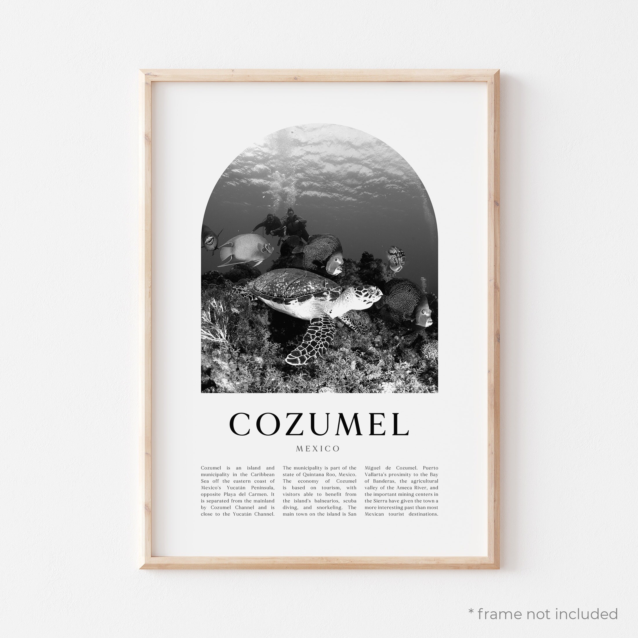 Cozumel Art Print Cozumel Poster Cozumel Photo Cozumel Wall - Etsy