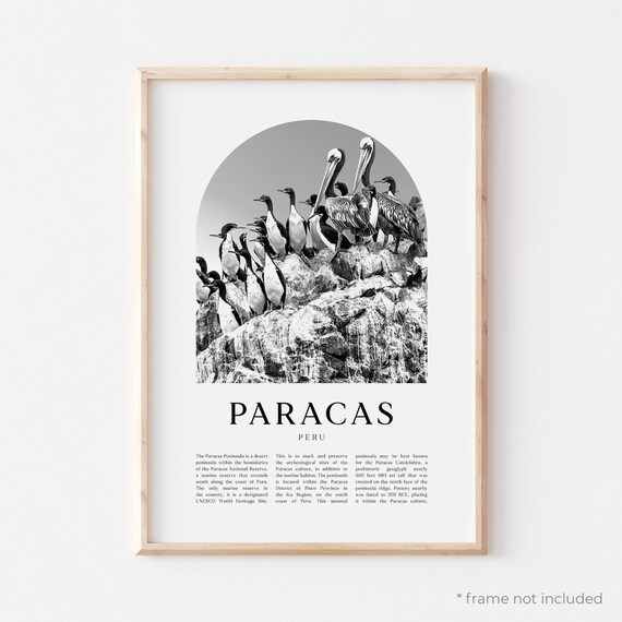 Paracas Art Print Paracas Poster Paracas Photo Paracas Wall - Etsy