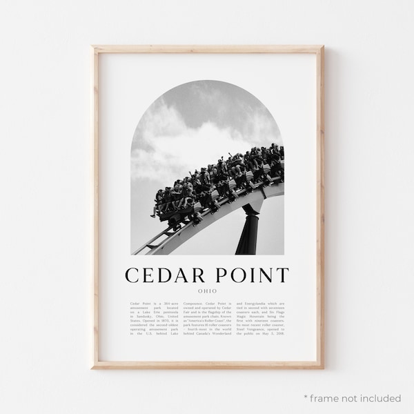 Cedar Point Vintage - Etsy