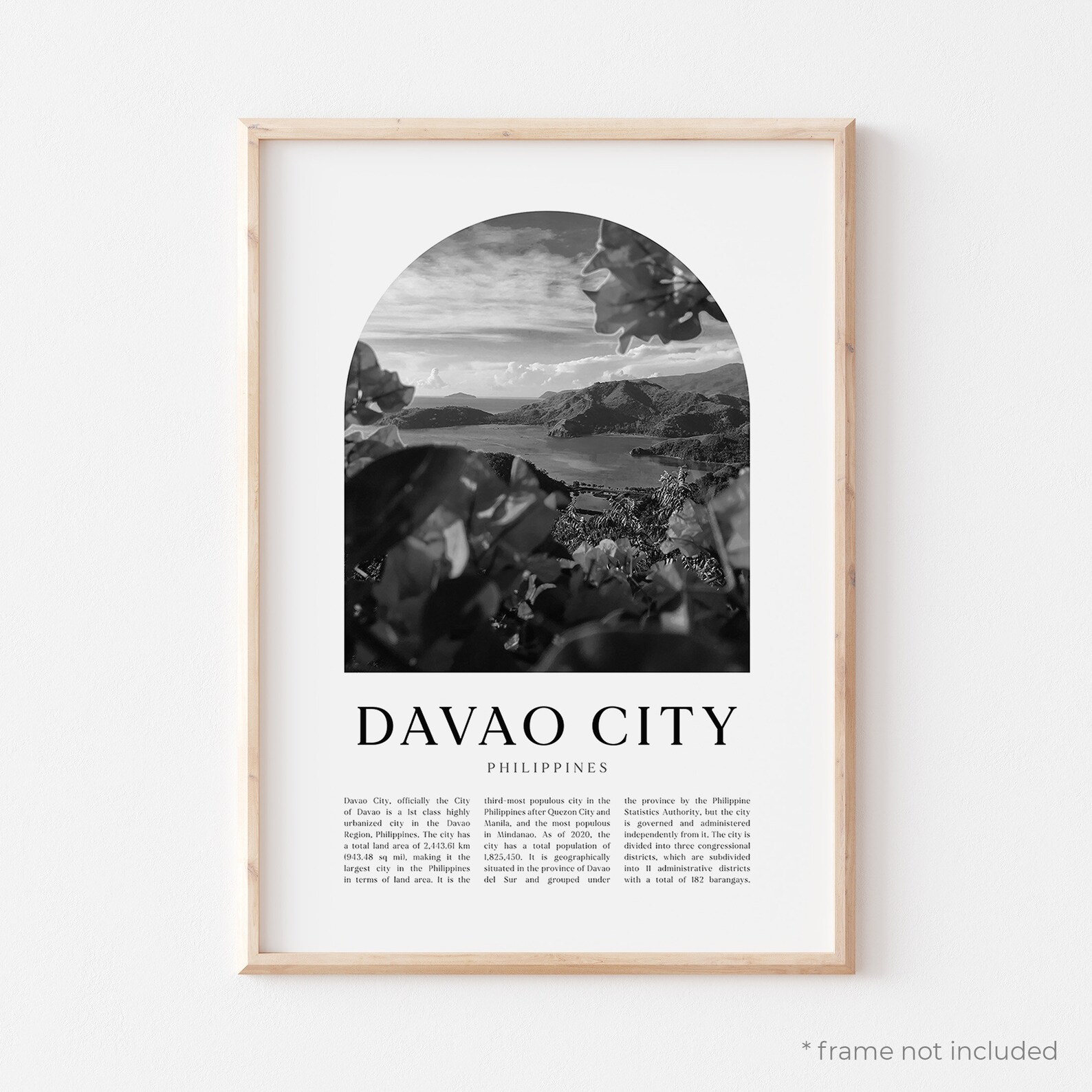 Davao City Art Print Davao City Poster Davao City Photo - Etsy