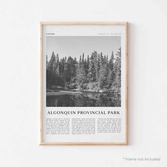 Algonquin Park Art Print Algonquin Park Poster Algonquin - Etsy
