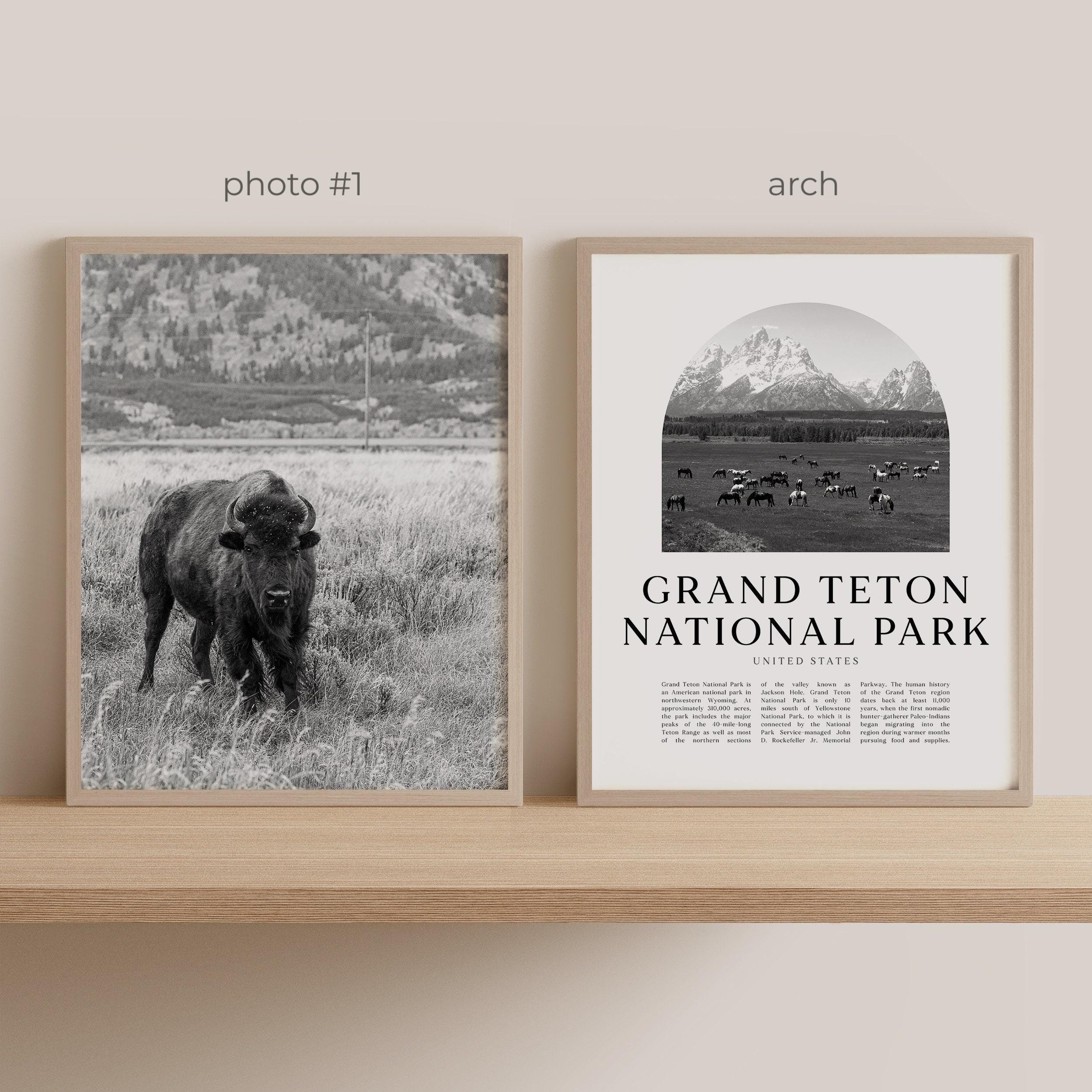 Grand Teton National Park Gallery Wall Art - Set of 6, Grand Teton ...