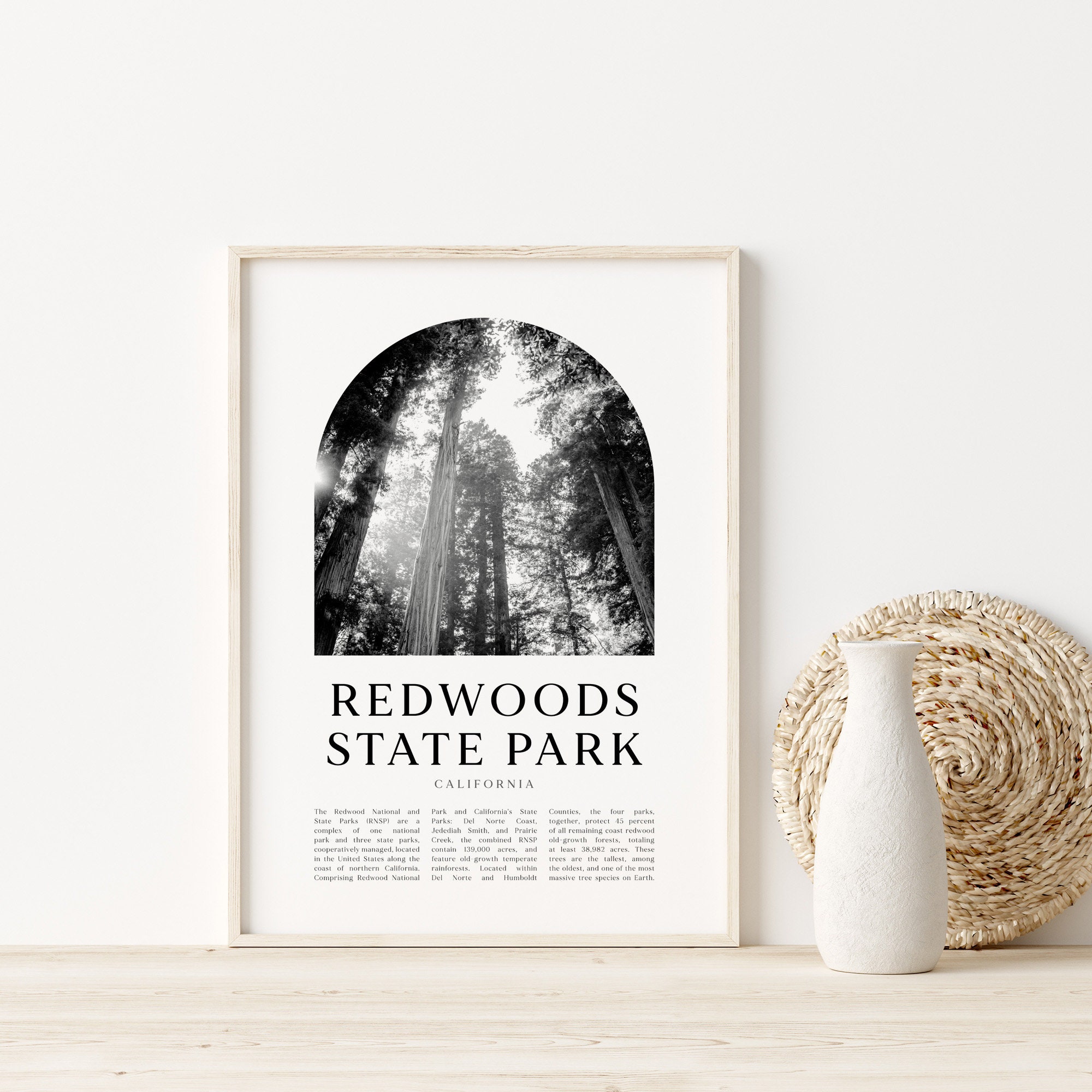 Redwoods State Park Art Print Redwoods State Park Poster - Etsy