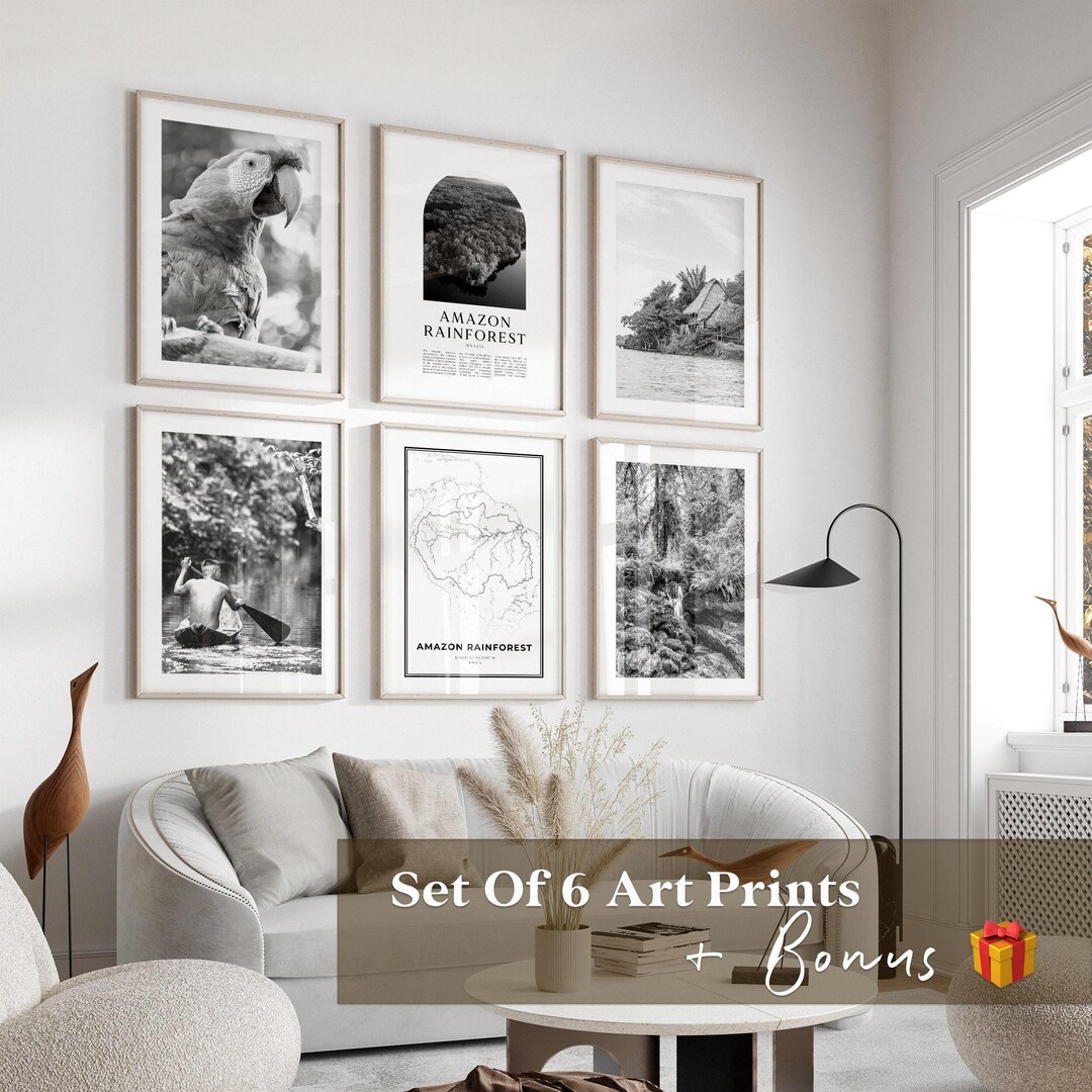 Amazon Rainforest Gallery Wall Art - Set of 6, Amazon Rainforest Black ...