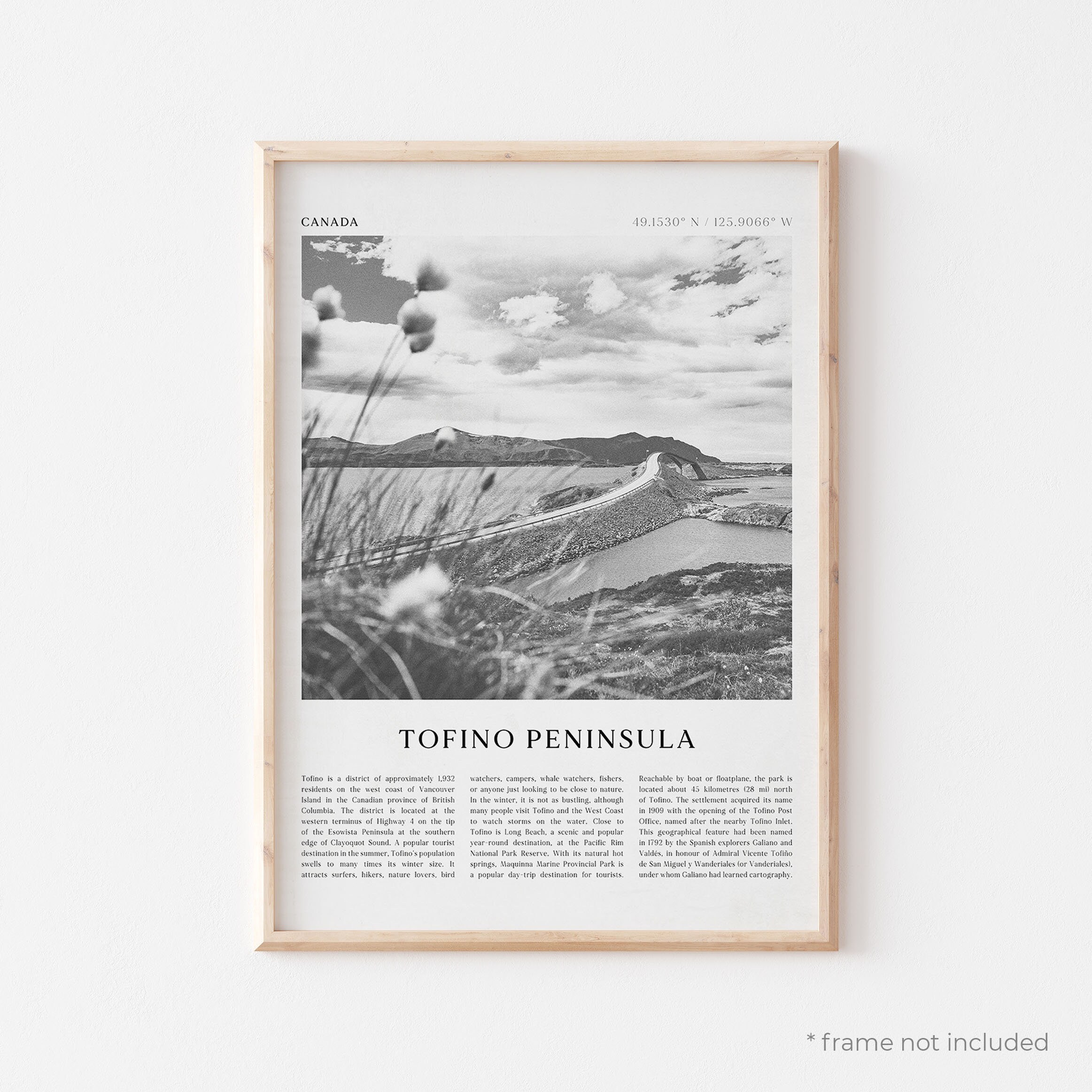 Tofino Peninsula Art Print Tofino Peninsula Poster Tofino - Etsy